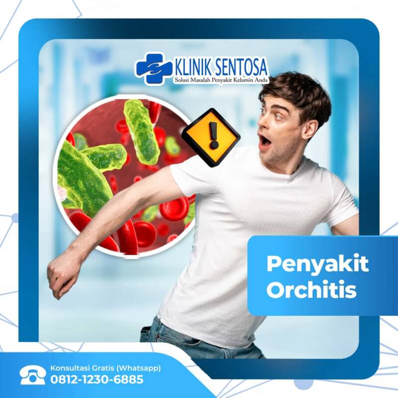 Penjelasan Dalam Mengenai Penyakit Orchitis?