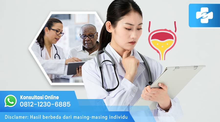 Fungsi Organ Saluran Kemih dan Anatominya – Klinik Utama Apollo